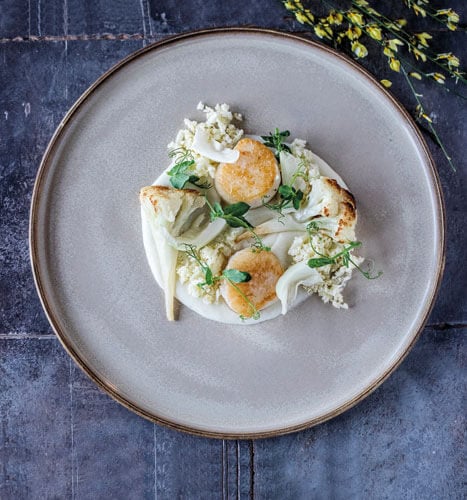 Barstuff - Barzubehör und Gläser online kaufen